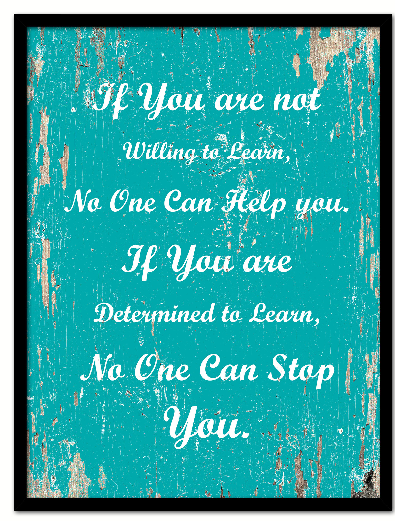 Trinx SpotColorArt If You are Not Willing to Learn No One Can Help Framed Canvas Art, 22" x 29 ...